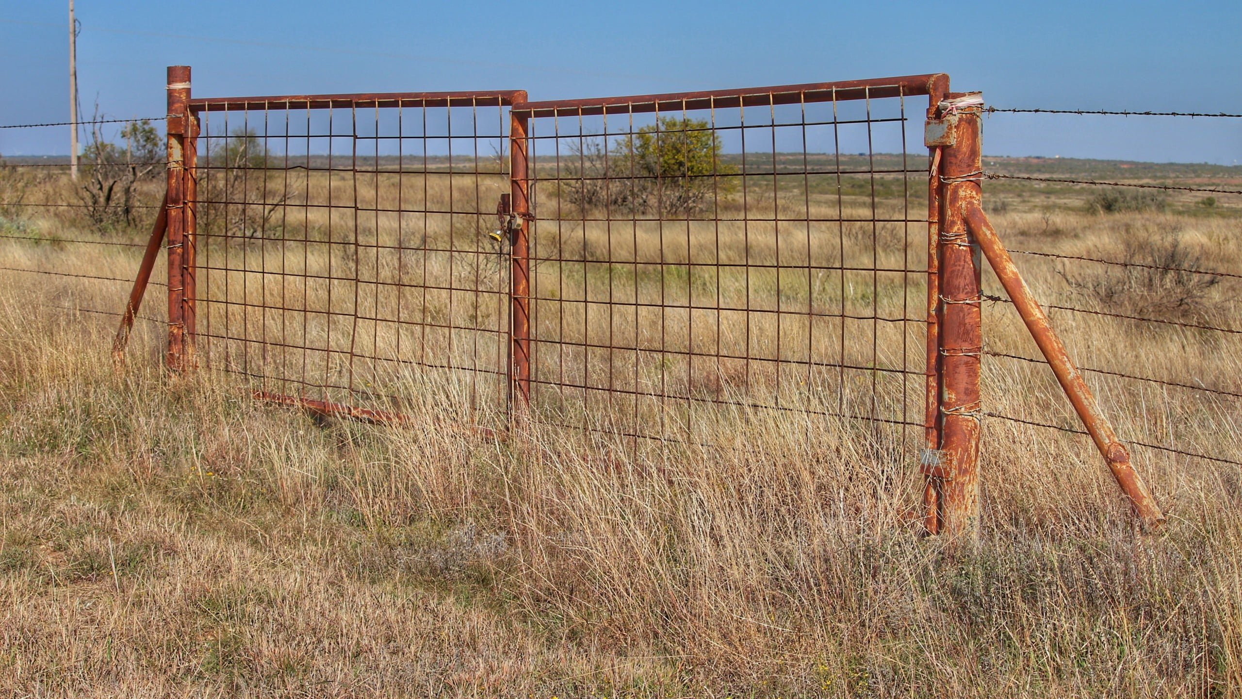 191 acres in Wichita County - Texas Hunting Land LLC