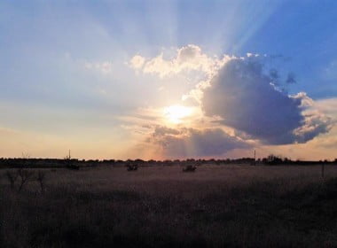 West Texas Land for Sale - Texas Hunting Land LLC