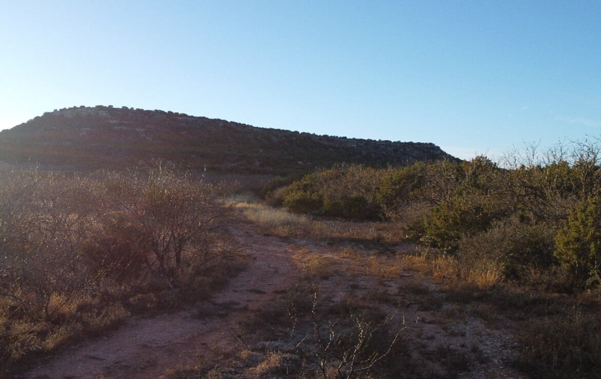 305 acres in Taylor and Runnels County - Texas Hunting Land LLC