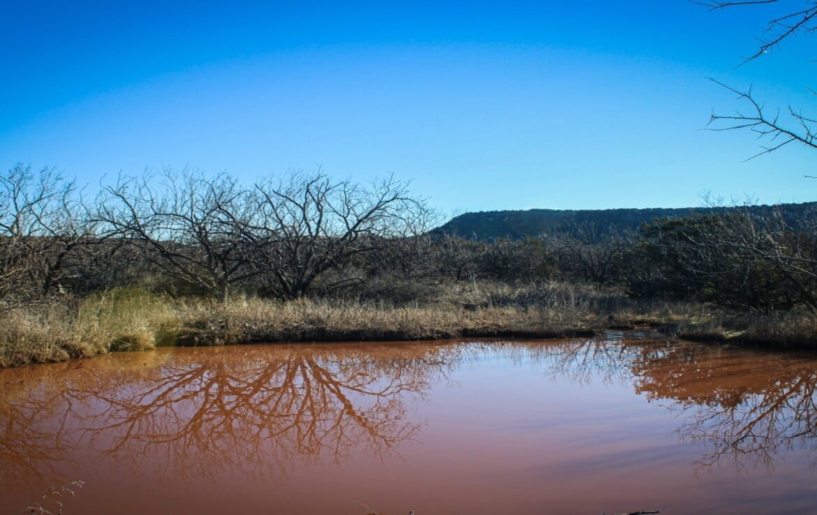 305 acres in Taylor and Runnels County - Texas Hunting Land LLC