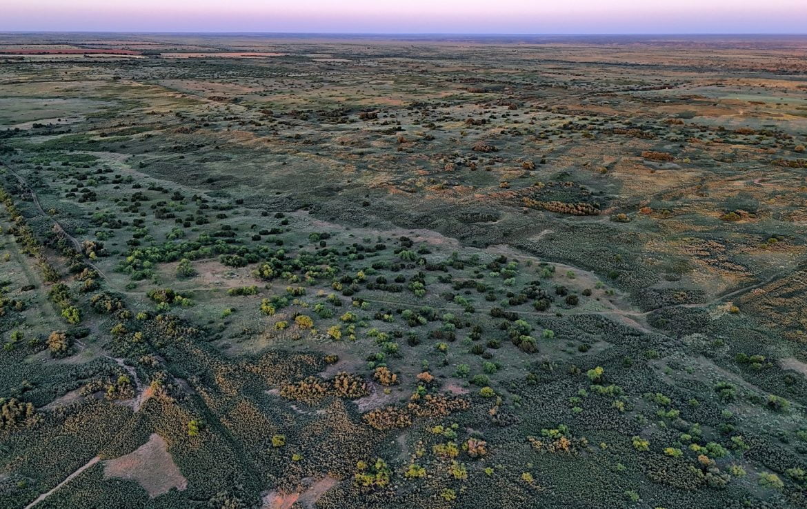 480 acres in Cottle County - Texas Hunting Land LLC