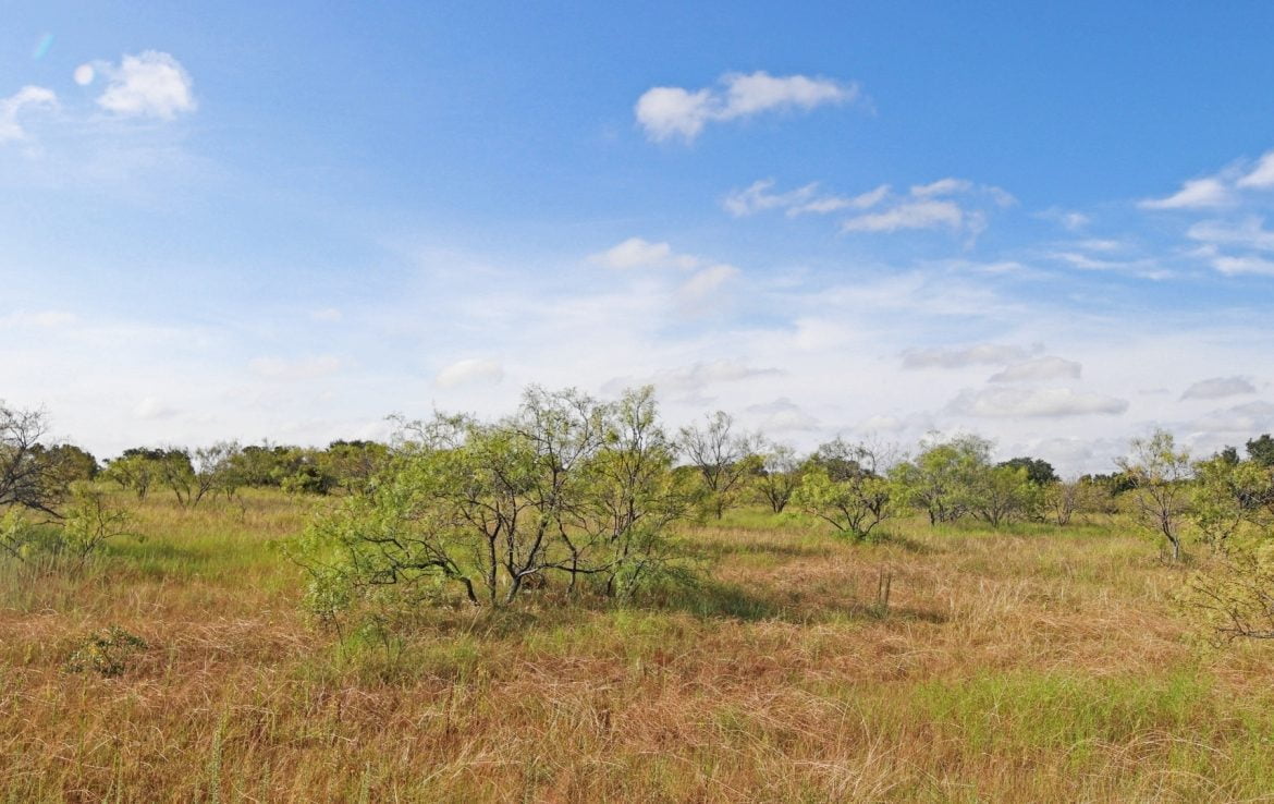 28 acres in Eastland County - Texas Hunting Land LLC