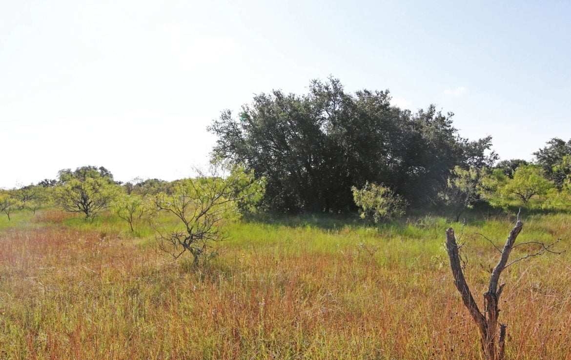 28 acres in Eastland County - Texas Hunting Land LLC