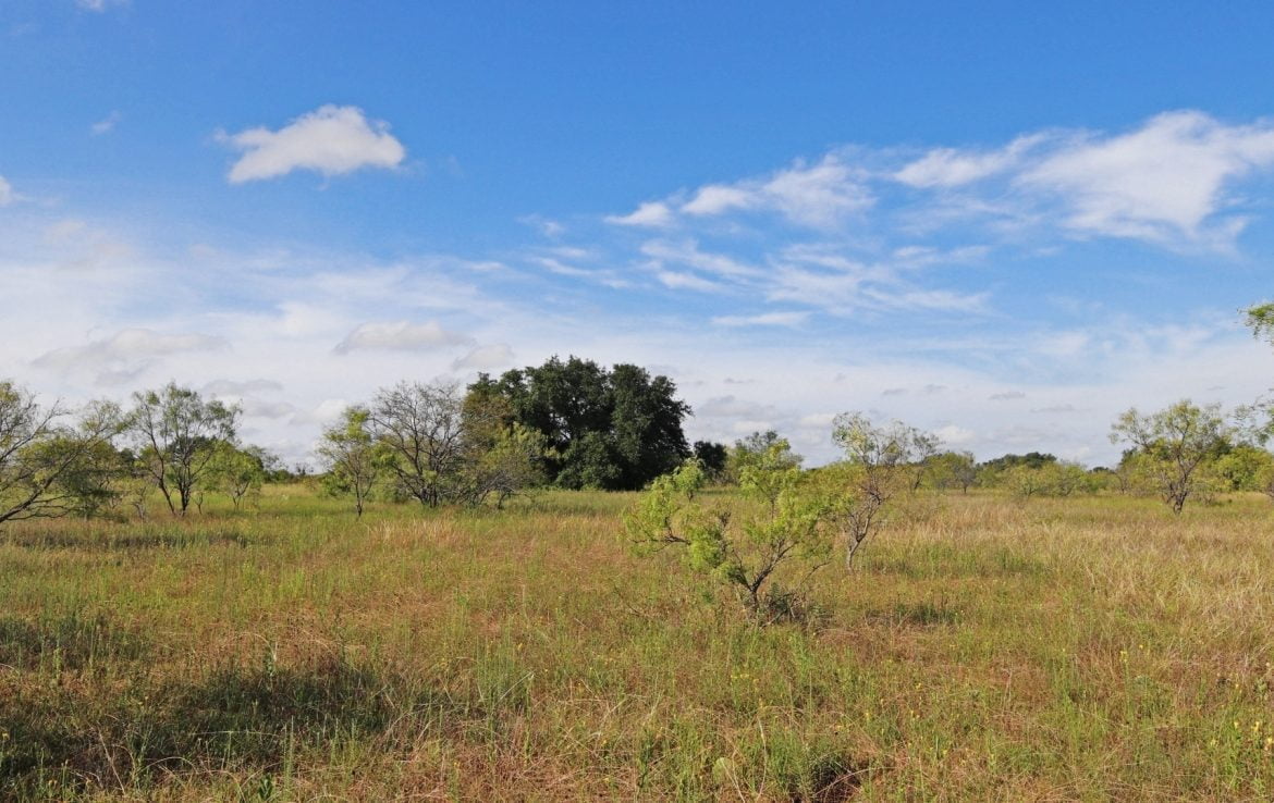 28 acres in Eastland County - Texas Hunting Land LLC