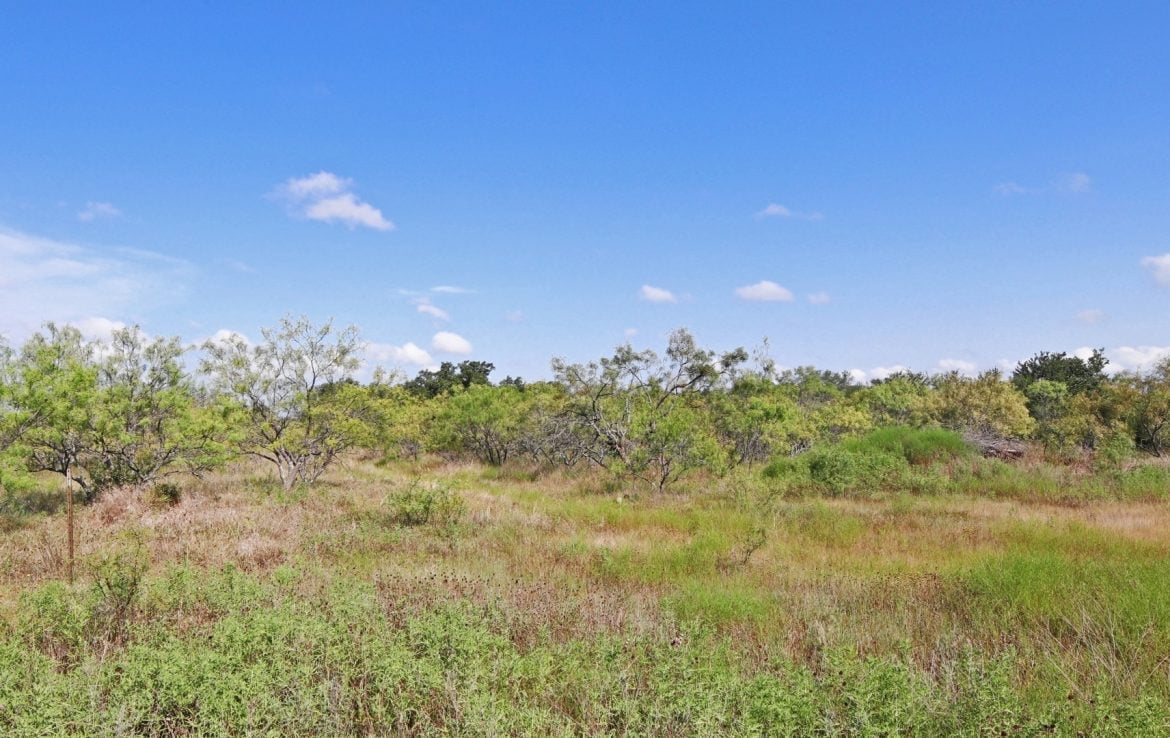 28 acres in Eastland County - Texas Hunting Land LLC