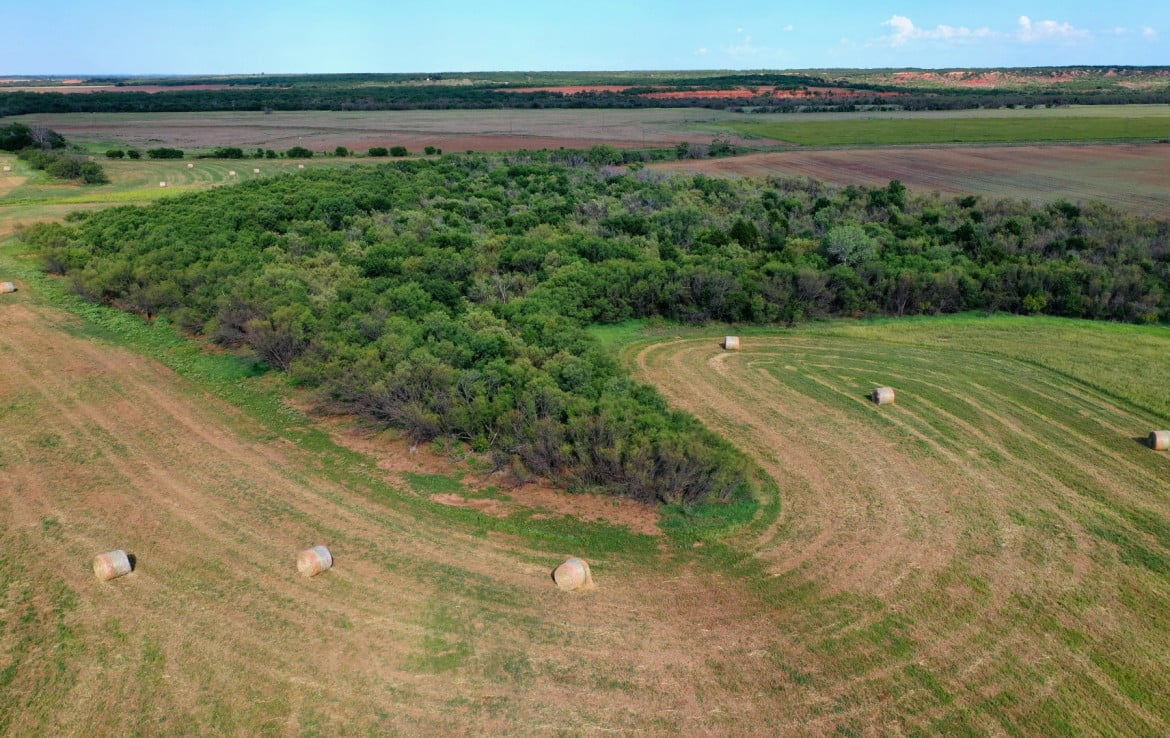Discover the Brazos River Ranch in Knox County, Texas