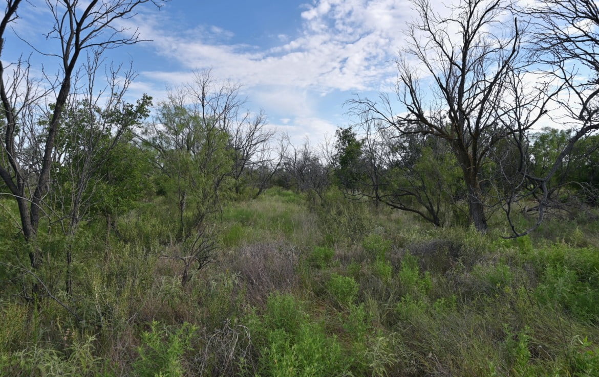 Discover the Brazos River Ranch in Knox County, Texas