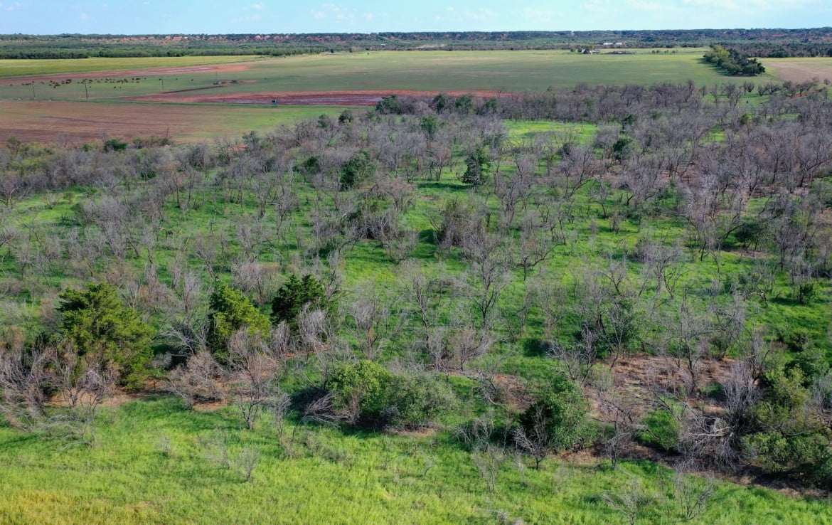 Discover the Brazos River Ranch in Knox County, Texas