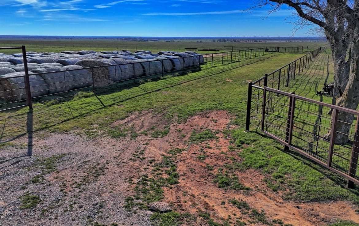 Explore the Boaz Ranch Graf Unit in Northern Clay County, Texas